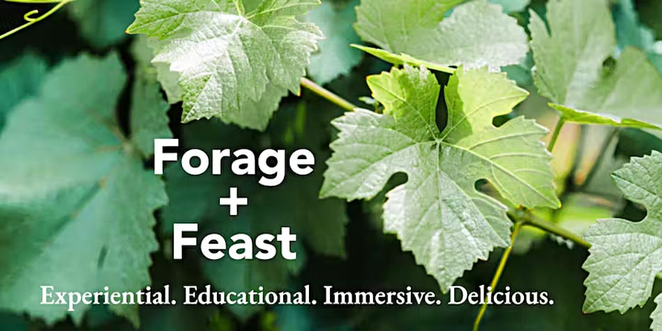 Forage & Feast Wild Food Gourmet Dinner at Lemelson Vineyards – Wild ...
